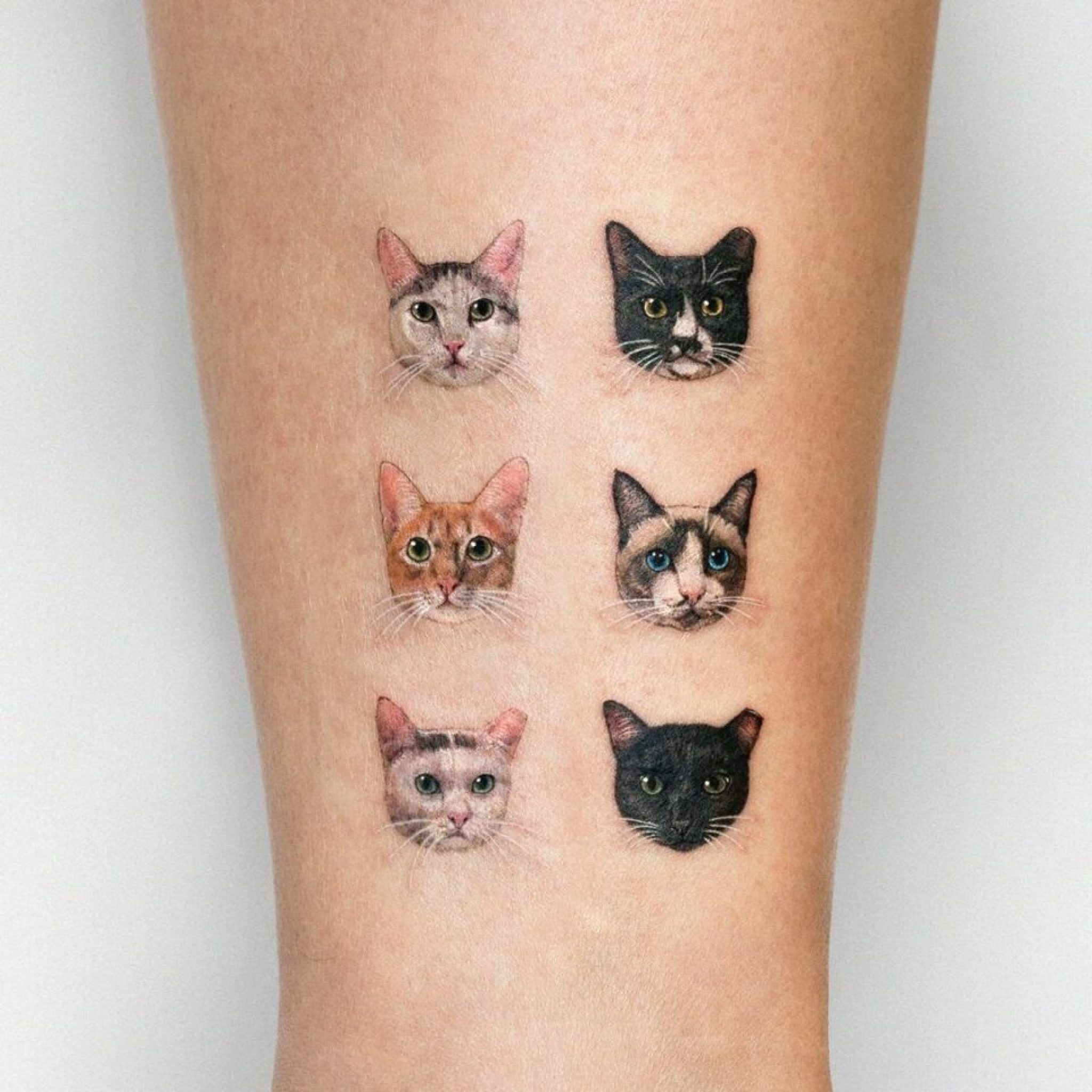 40 Katzen-Tattoo-Ideen, um Ihren pelzigen Freund zu feiern