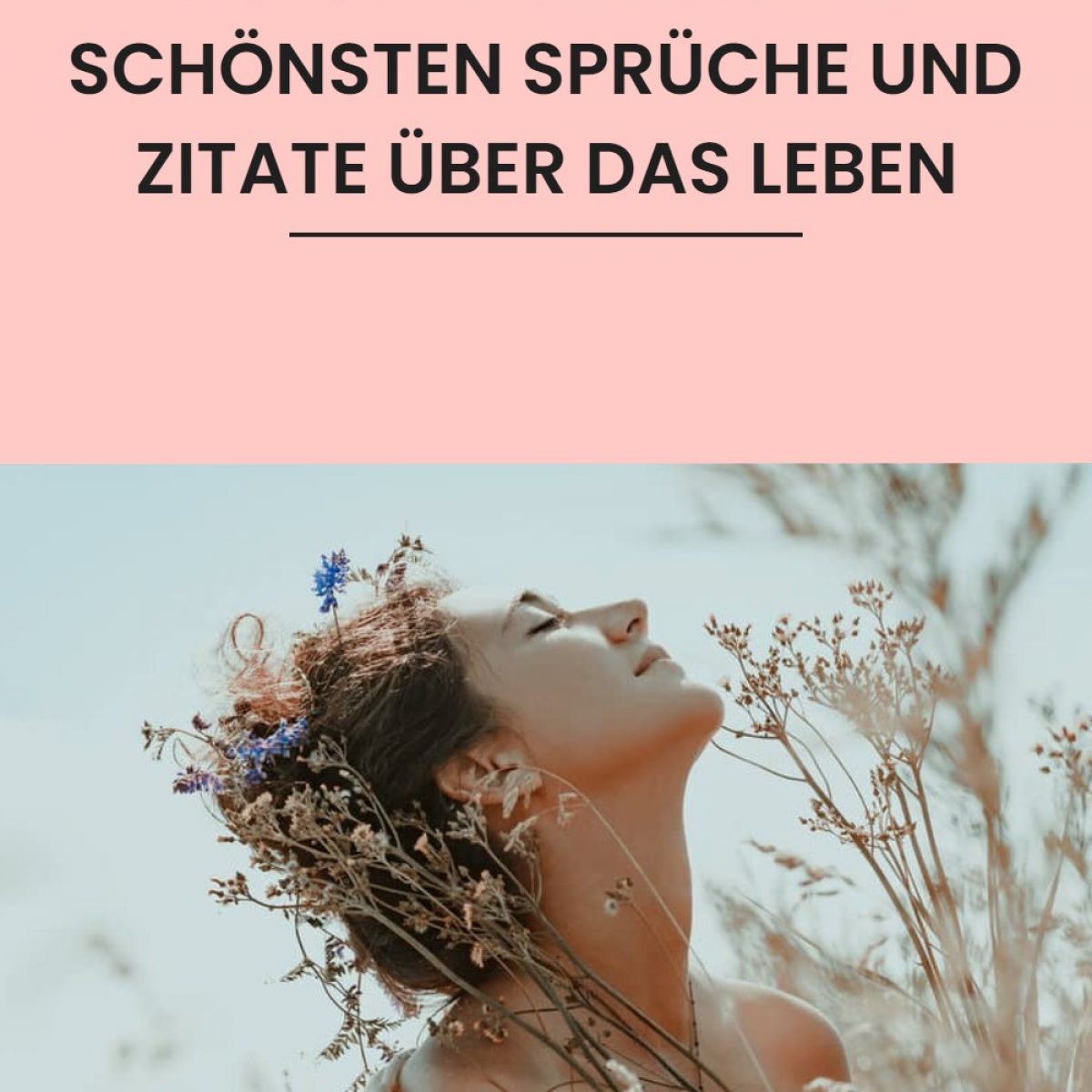 Lebenssprüche: Die schönsten Sprüche und Zitate über das Leben